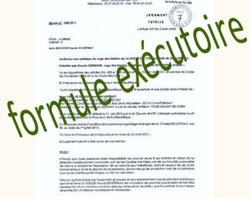 Exécutoire - Le blog de Marie-Anne Chabin